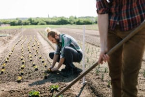 How to Build a Reliable Team for a Small Farm - EcoFarming Daily